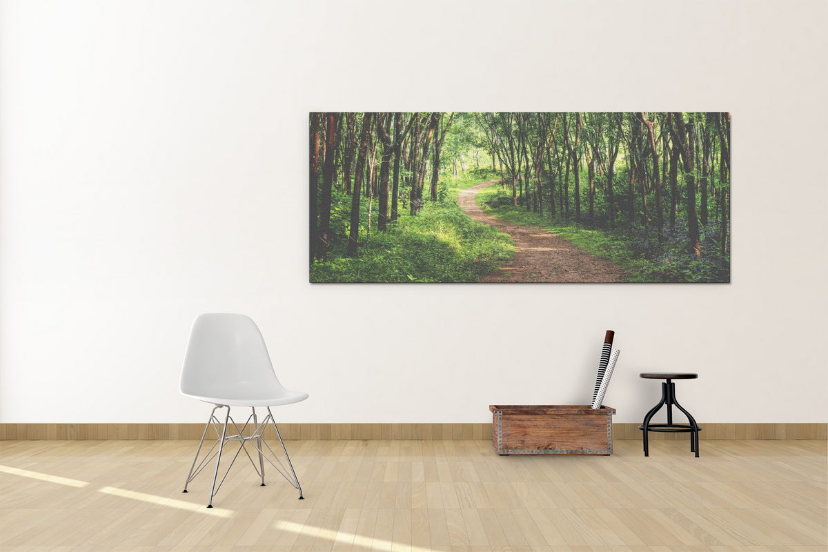 The Enchanted Forest (CA) – Exodus Design Studio